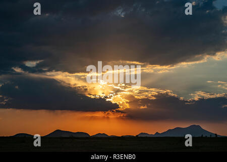 Sunset Dabchick Game Reserve, Waterberg Region. Limpopo Province, South ...