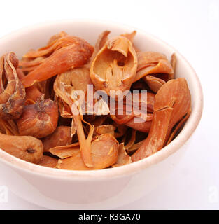 Nutmeg blossoms / Mace Stock Photo - Alamy