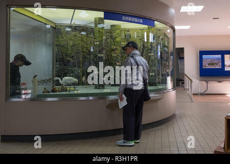 A visit to the Institute For Nature Study in Tokyo, Japan. It is an ...