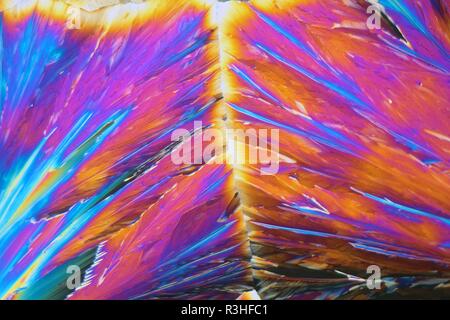 citric acid under the microscope Stock Photo - Alamy