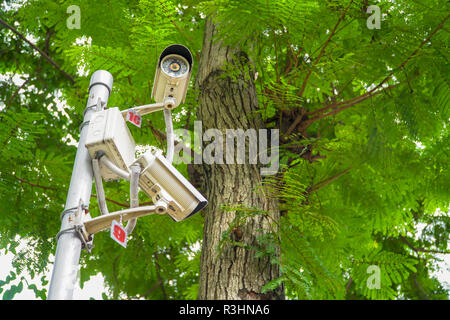Security CCTV camera on green background, closeup Stock Photo - Alamy