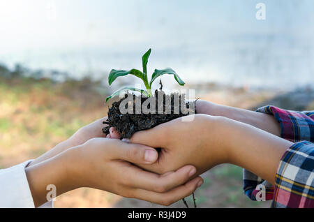 Human hands helping holding protection young plant , concept save the ...