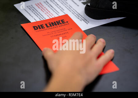 24 November 2018, Bremen: A delegate of the party the left has during ...