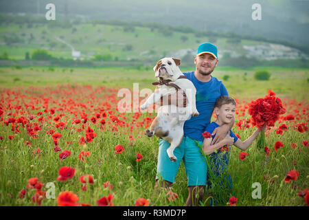 Handsome father together with happy cute smiling boy son and english ...