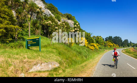 Cyclist at the Raincliff Historic Reserve, Canterbury, South Island ...