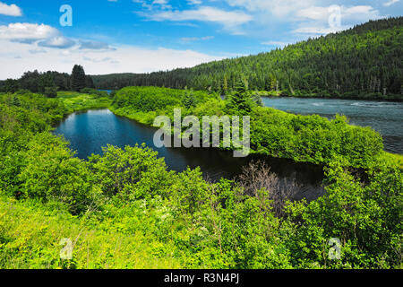 River in the Laurentian Mountains , Parc national des Laurentides ...