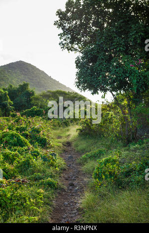 Netherlands,Sint Eustatius,The Quill,dormant volcano,hiking trail signs ...