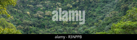 Netherlands,Sint Eustatius,The Quill,dormant volcano,hiking trail signs ...