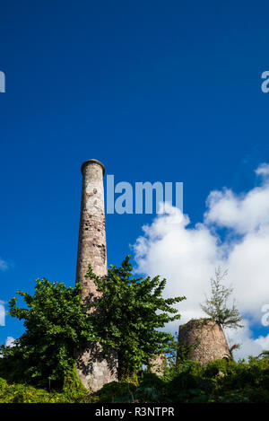 St. Kitts and Nevis, Nevis, Hamilton, Hamilton Estate Ruins, old sugar ...