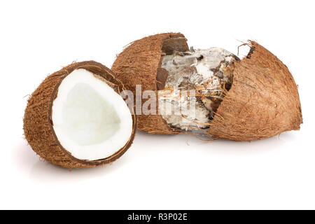 Coconut spoiled with mold isolated on white background Stock Photo - Alamy