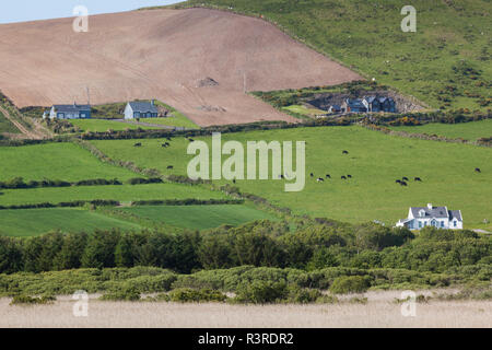 Republic of Ireland, Dingle Peninsula, Ventry Bay, grey storm clouds ...