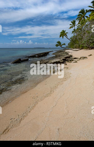 Palm trees on a uninhabited island. 3D Rendering Stock Photo - Alamy