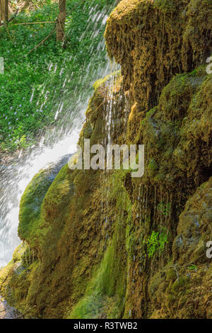 Waterfall La Granja Esporles Majorca Balearic Island Spain Stock Photo ...