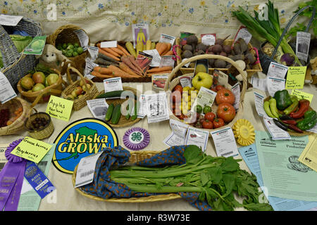 Alaska State Fair, Food, Produce, vegetables, Palmer, Alaska, USA ...