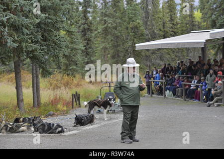 Denali National Park Service Ranger Dave Weber is showing rope ...