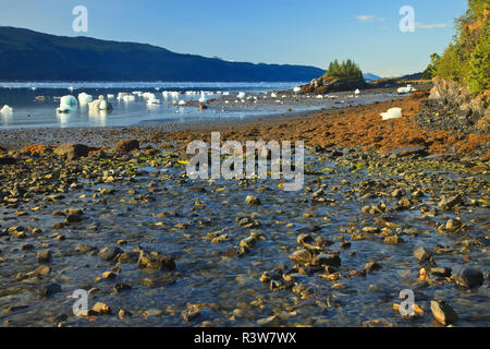 Smith Glacier, College Fjord, Prince William Sound, Alaska Stock Photo ...