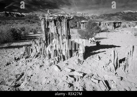 Sand tufa formations on the south shore of Mono Lake, Mono Basin ...