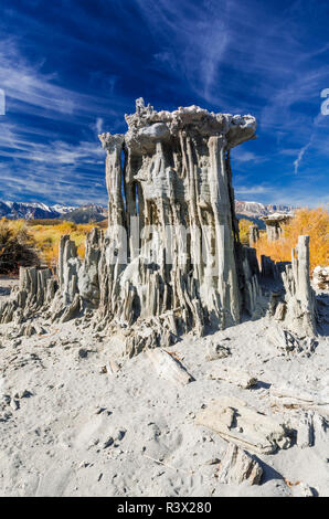 Sand tufa formations on the south shore of Mono Lake, Mono Basin ...