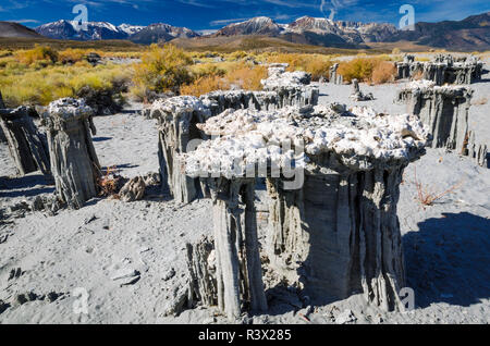 Sand tufa formations on the south shore of Mono Lake, Mono Basin ...