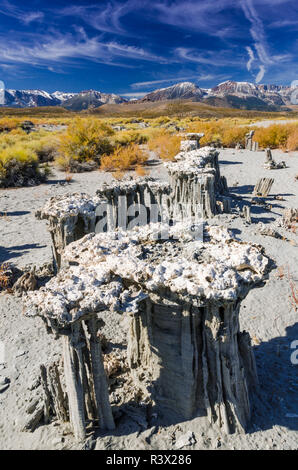 Sand tufa formations on the south shore of Mono Lake, Mono Basin ...