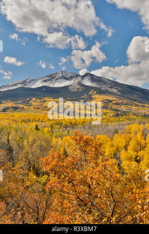 Fall colors near Kebler Pass, Crested Butte Stock Photo - Alamy