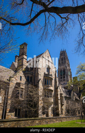 USA, Connecticut, New Haven, Yale University, university campus Stock ...