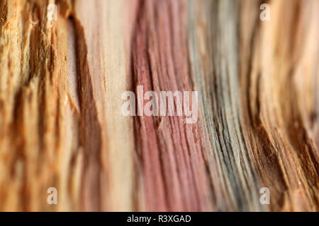 coloured wood grain pine Stock Photo - Alamy