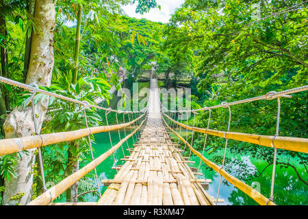 Bamboo pedestrian hanging bridge over river in tropical forest, Bohol ...