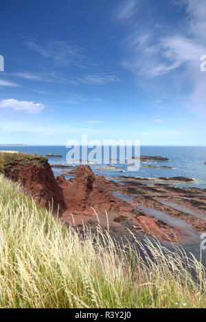 Sea Cliffs of Dunbar, East Lothian, Scotland Stock Photo - Alamy