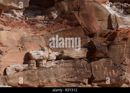 USA, Nevada. Petroglyph panel on sandstone cliff face near Falling Man ...
