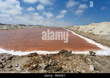salt mineral mining in Namibia between Cape Cross and Walvis bay Stock ...