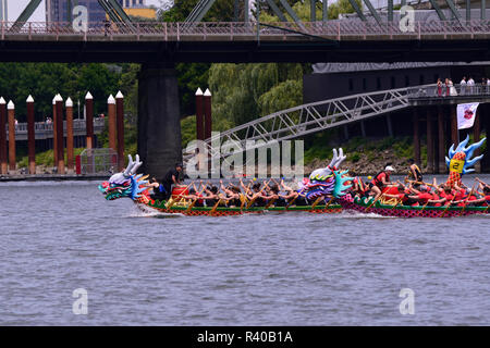 USA, Oregon, Portland. Dragon boats races on Willamette River. Credit ...