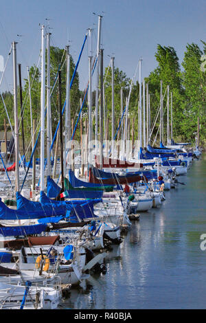 USA, Oregon, Portland. Sailboats docked in Tomahawk Bay in Portland ...