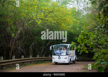 Resaca de la Palma State Park preserves 1,200 acres of wetland mature ...