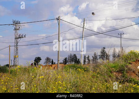 my beloved surroundings in the North of Raanana Stock Photo - Alamy