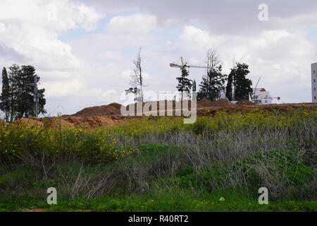 my beloved surroundings in the North of Raanana Stock Photo - Alamy