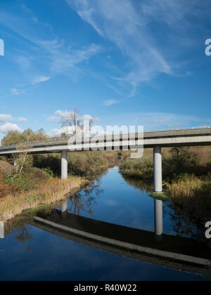 USA, Washington State, Bellevue. Mercer Slough Nature Park Stock Photo ...