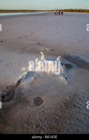 Salt deposits at Sal del Rey Stock Photo - Alamy
