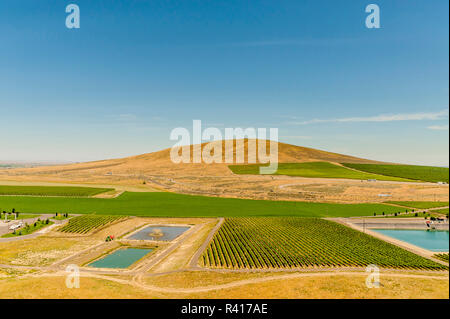 USA, Washington, Richland. Goose Ridge Vineyards and Estate Winery is ...