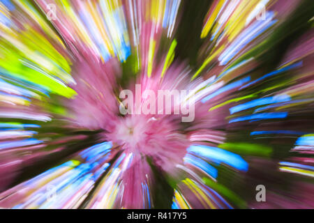 Graphic views combining slow shutter speed and motion, Ornamental ...