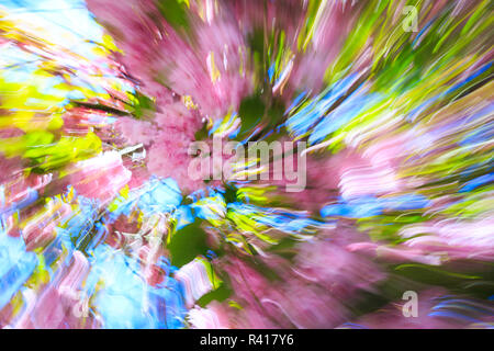 Graphic views combining slow shutter speed and motion, Ornamental ...