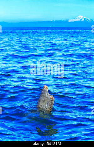 Deadhead, large floating log a real danger to boats, San Juan Islands ...