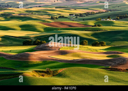 Expansive view of Palouse farming region of Eastern Washington State ...