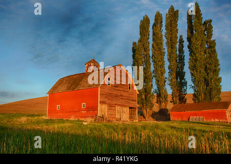 USA, Washington State. Red barn surrounded by ripe wheat (PR Stock ...