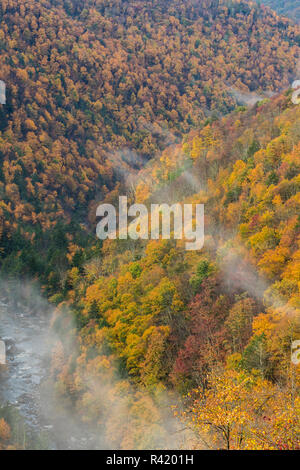 Pendleton falls in Blackwater Falls State Park Stock Photo - Alamy