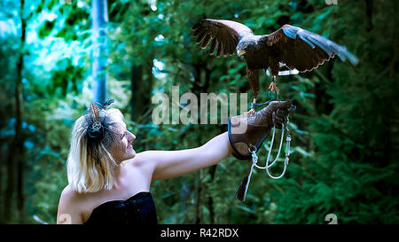 The Lady with the harris hawk Stock Photo - Alamy