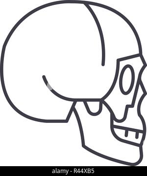 Skull side view line icon concept. Skull side view flat vector symbol ...
