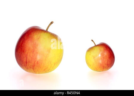 Big and small apples. Two ripe apples, red and green isolated on white ...