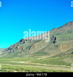 brown bush in valley morocco africa the Stock Photo - Alamy