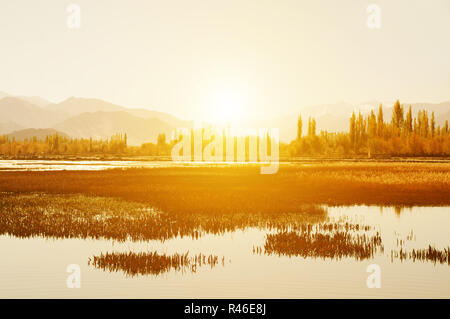 Holy Fish Pond at Shey Monastery, Leh Ladakh, India Stock Photo - Alamy